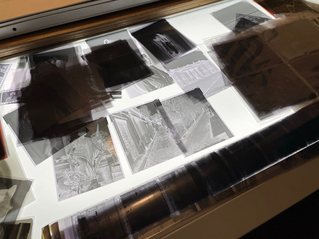 New Work - The Dilemma – Cascabel Press | Ray Bidegain printmaker