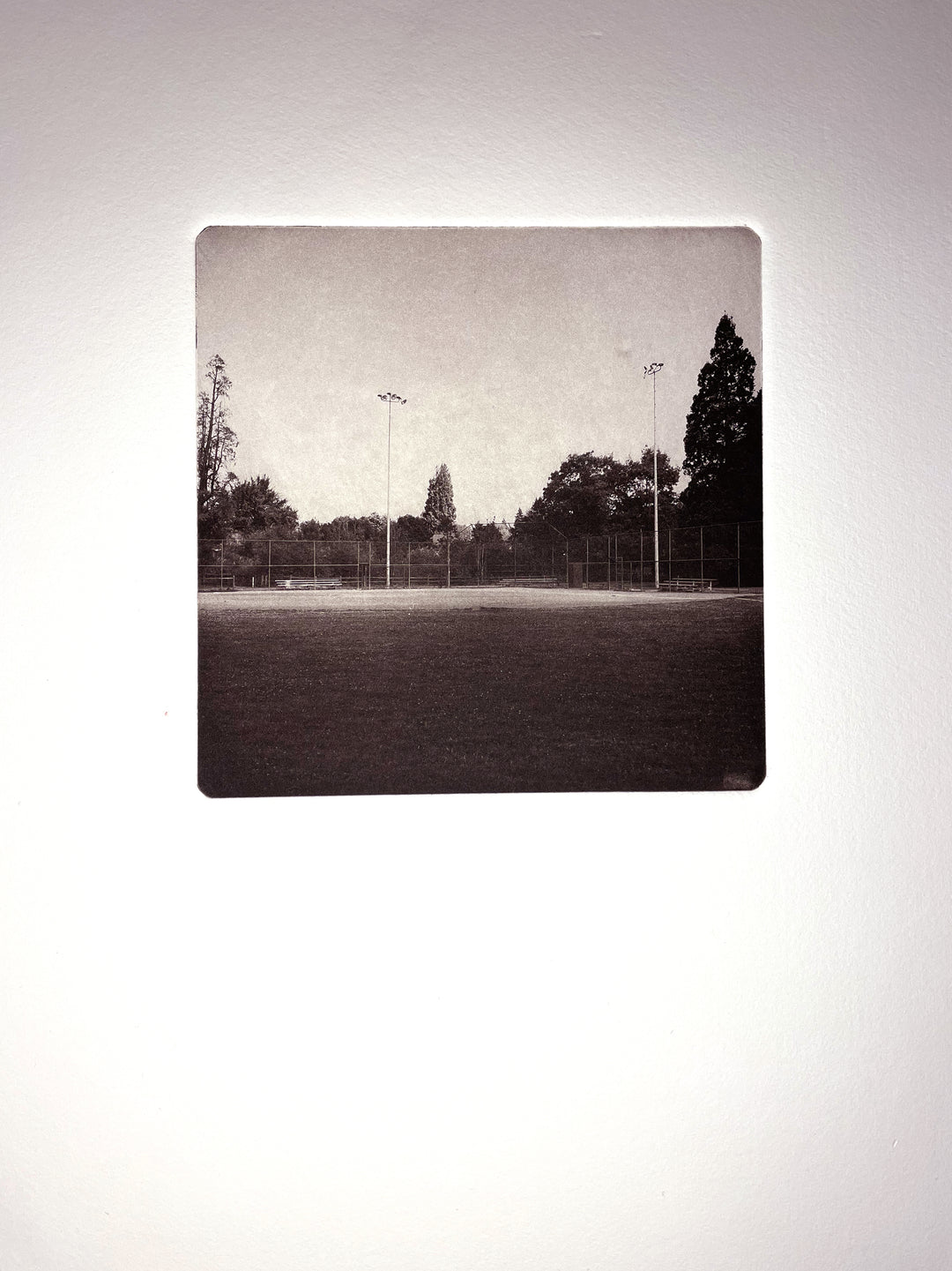 fine art Photopolymer photogravure prints by Ray Bidegain – Ray ...