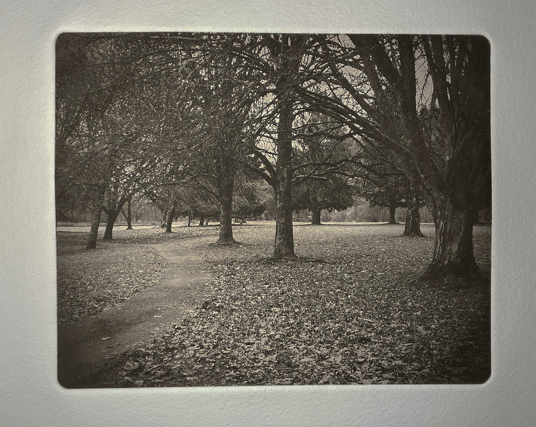 fine art Photopolymer photogravure prints by Ray Bidegain – Ray ...